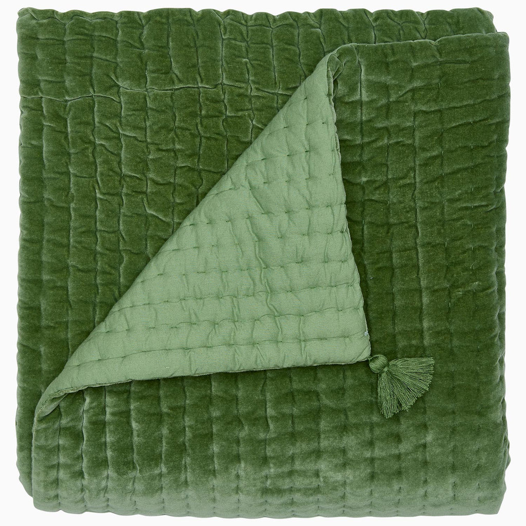 Home Velvet Moss Throw